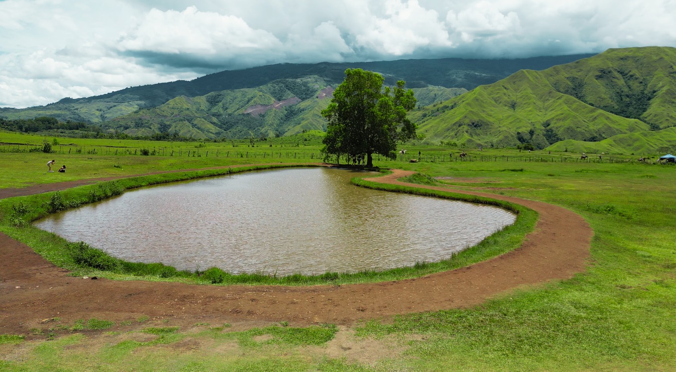 Discover Communal Ranch and Lake Apo: Bukidnon’s Hidden Paradise in ...